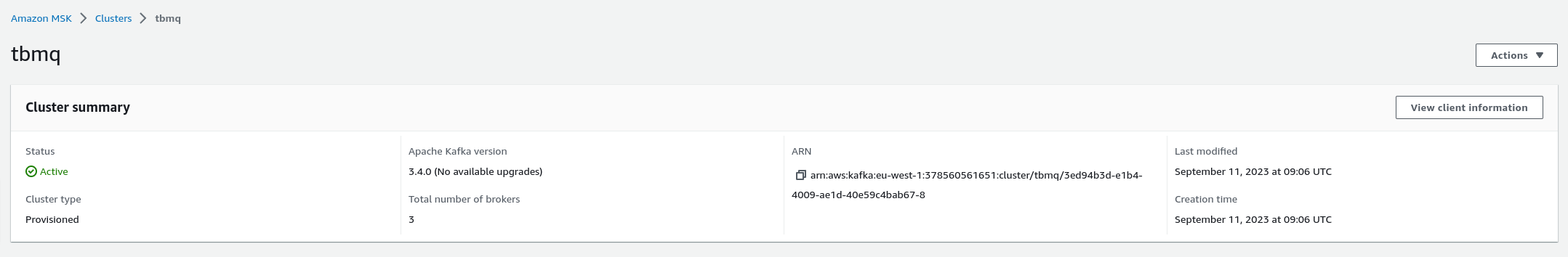 Cluster setup using AWS infrastructure | MQTT Broker